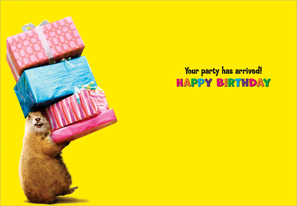 Prairie Dog Party - Core Vers Birthday $3.99 Retail – Avanti Press